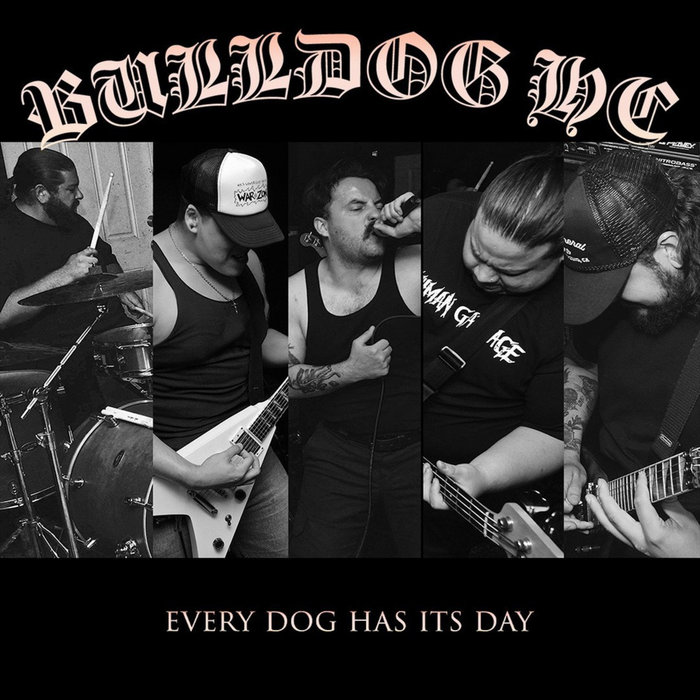 Every Dog Has Its Day | Bulldog