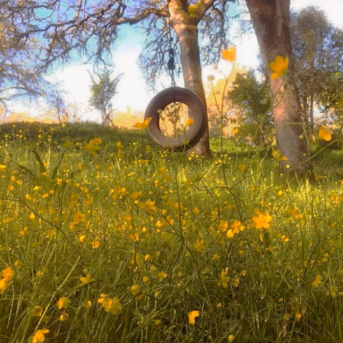 path of life | root in still water