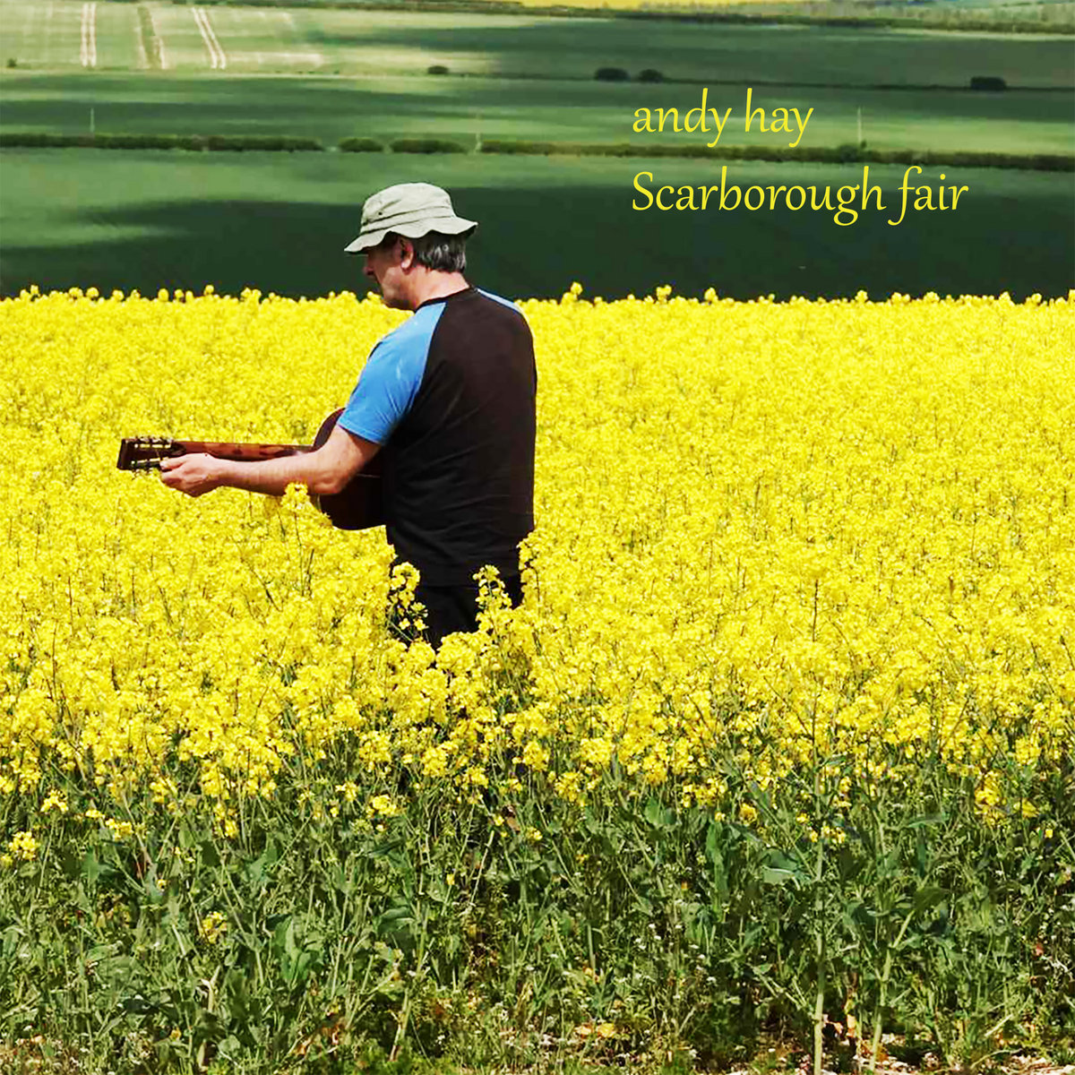 Scarborough fair. | Andy Hay