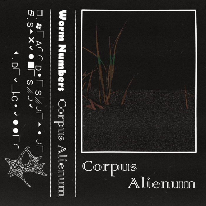 Corpus Alienum | Worm Numbers