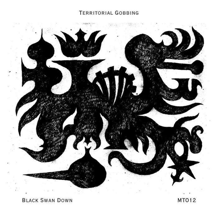 Black Swan Down | Territorial Gobbing