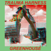 Trauma Harness