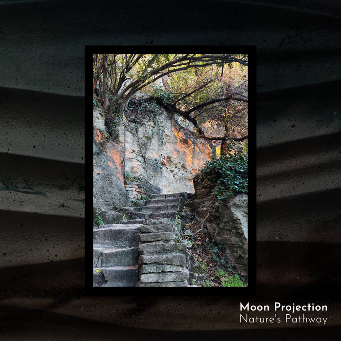 Nature's Pathway | Moon Projection