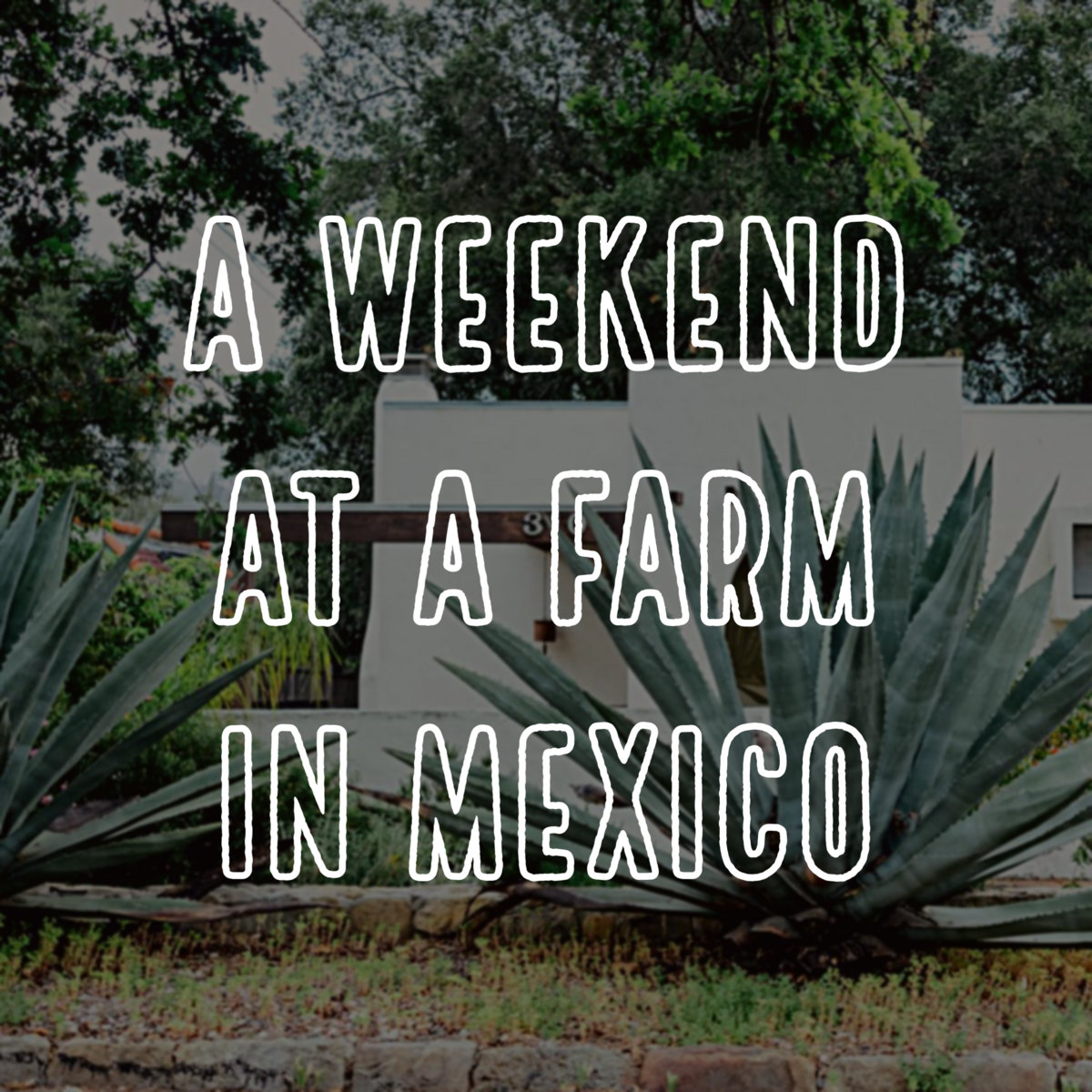 A WEEKEND AT A FARM IN MEXICO | Zaira Martínez