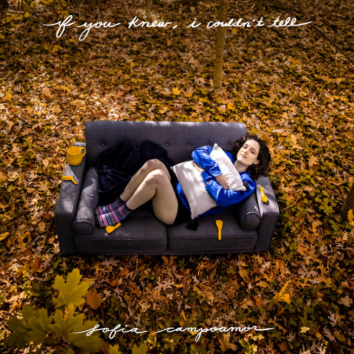 if you knew, i couldn't tell | Sofía Campoamor