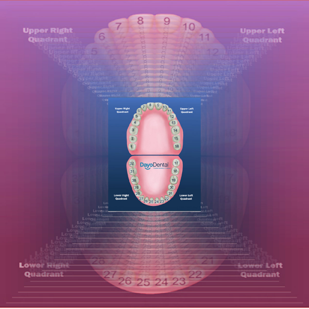 Removal of tooth #1 and tooth #32 | AMF's weird adventures