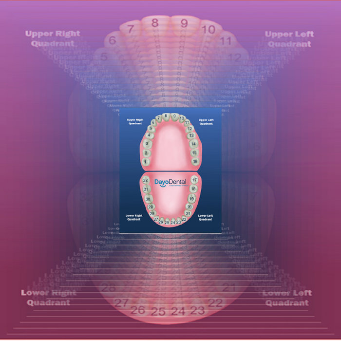 Removal of tooth #1 and tooth #32 | AMF's weird adventures