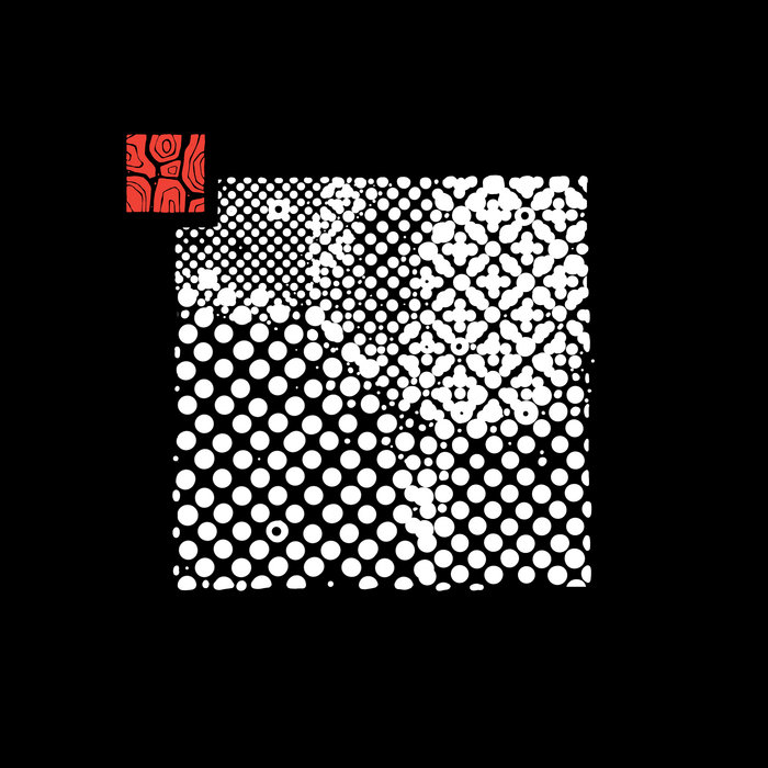 Bloom Tribe | Doctrina Natura | Huinali Recordings