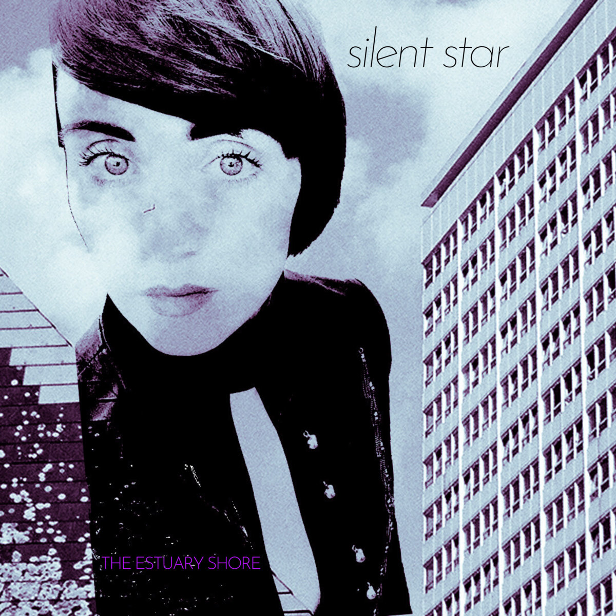 The Estuary Shore | Silent Star