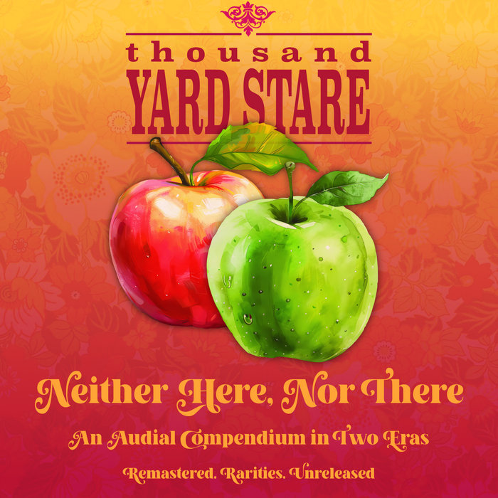 Neither Here, Nor There LP (Box Set) | Thousand Yard Stare