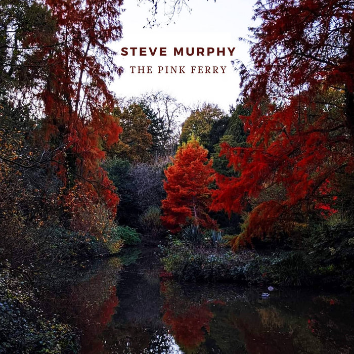 The Pink Ferry | Steve Murphy