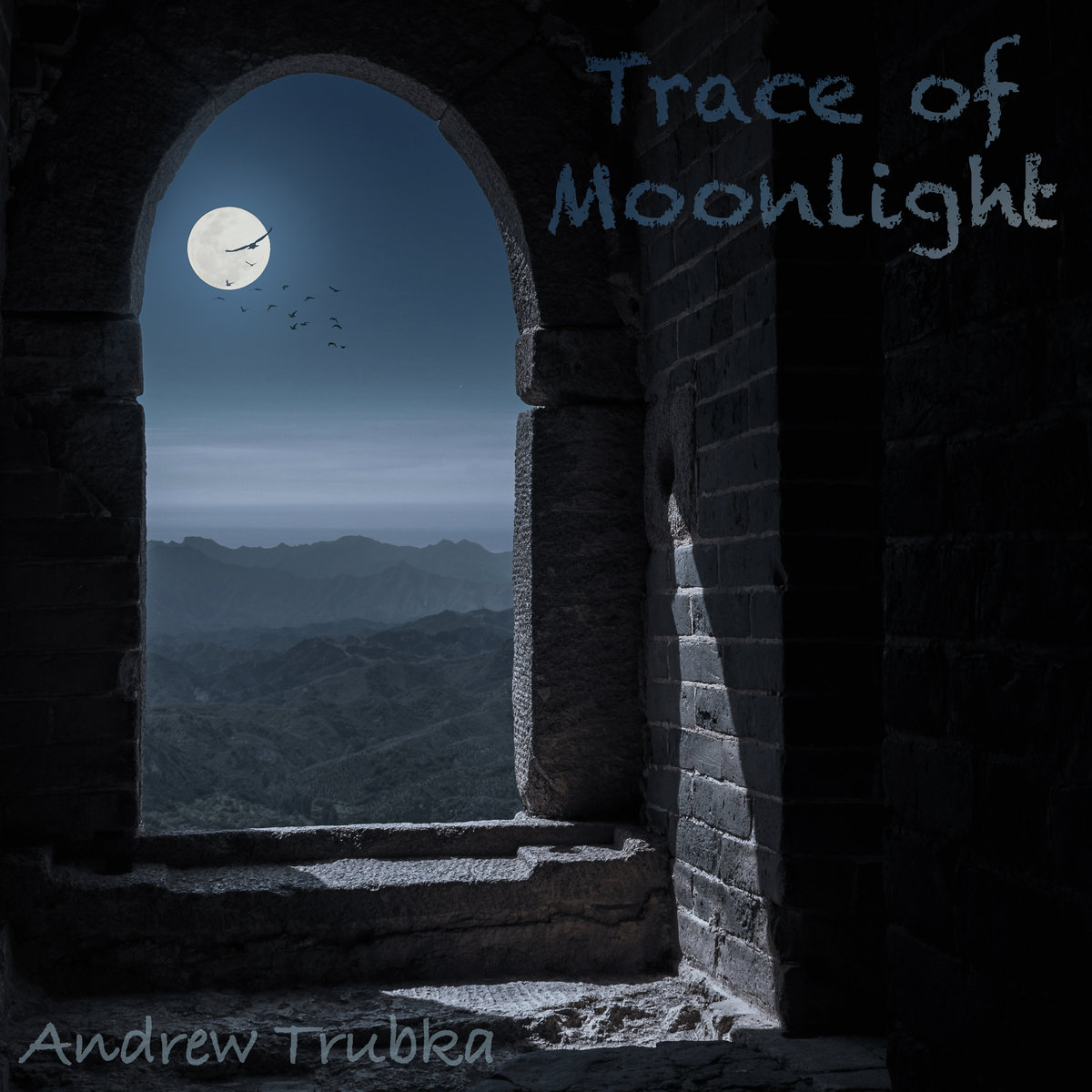 Trace of Moonlight | Andrew Trubka