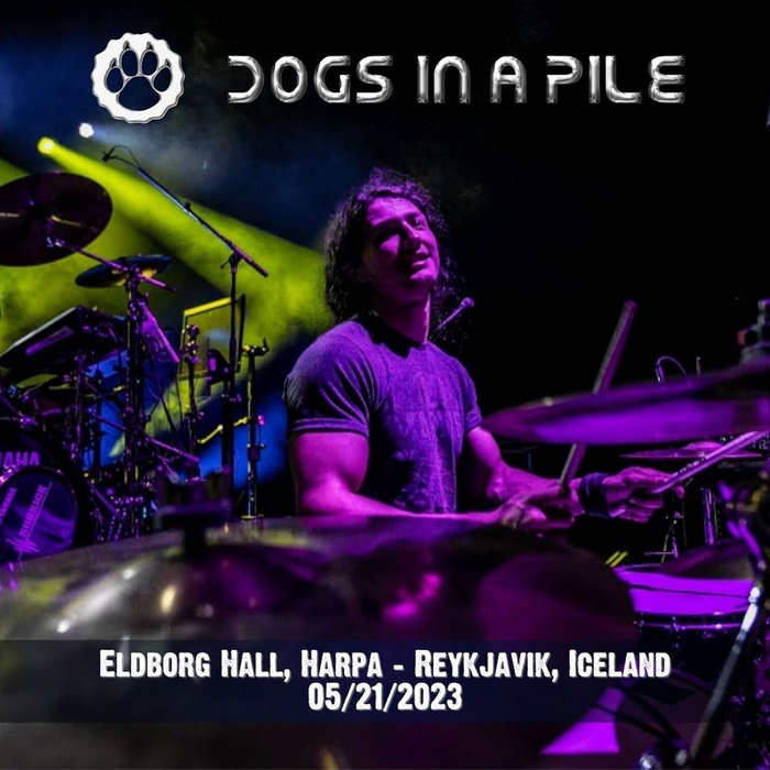 05/21/23 - Eldborg Hall, Harpa, Reykjavik, Iceland | Dogs In A Pile