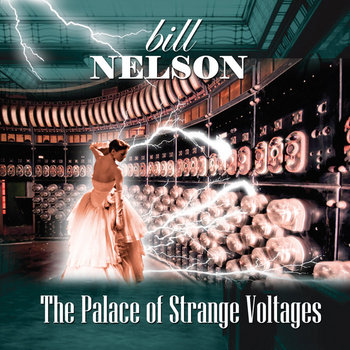 Music | Bill Nelson