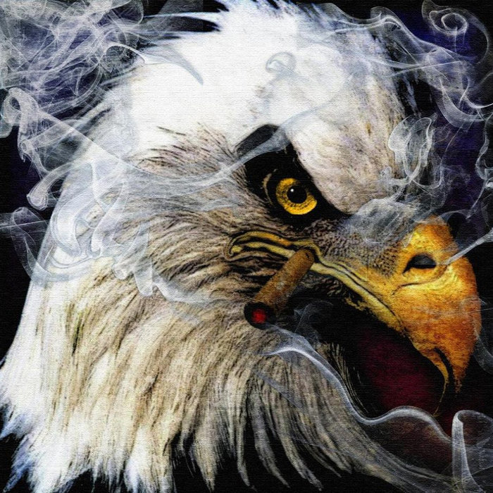 SURVIVORS | Smoking Bird