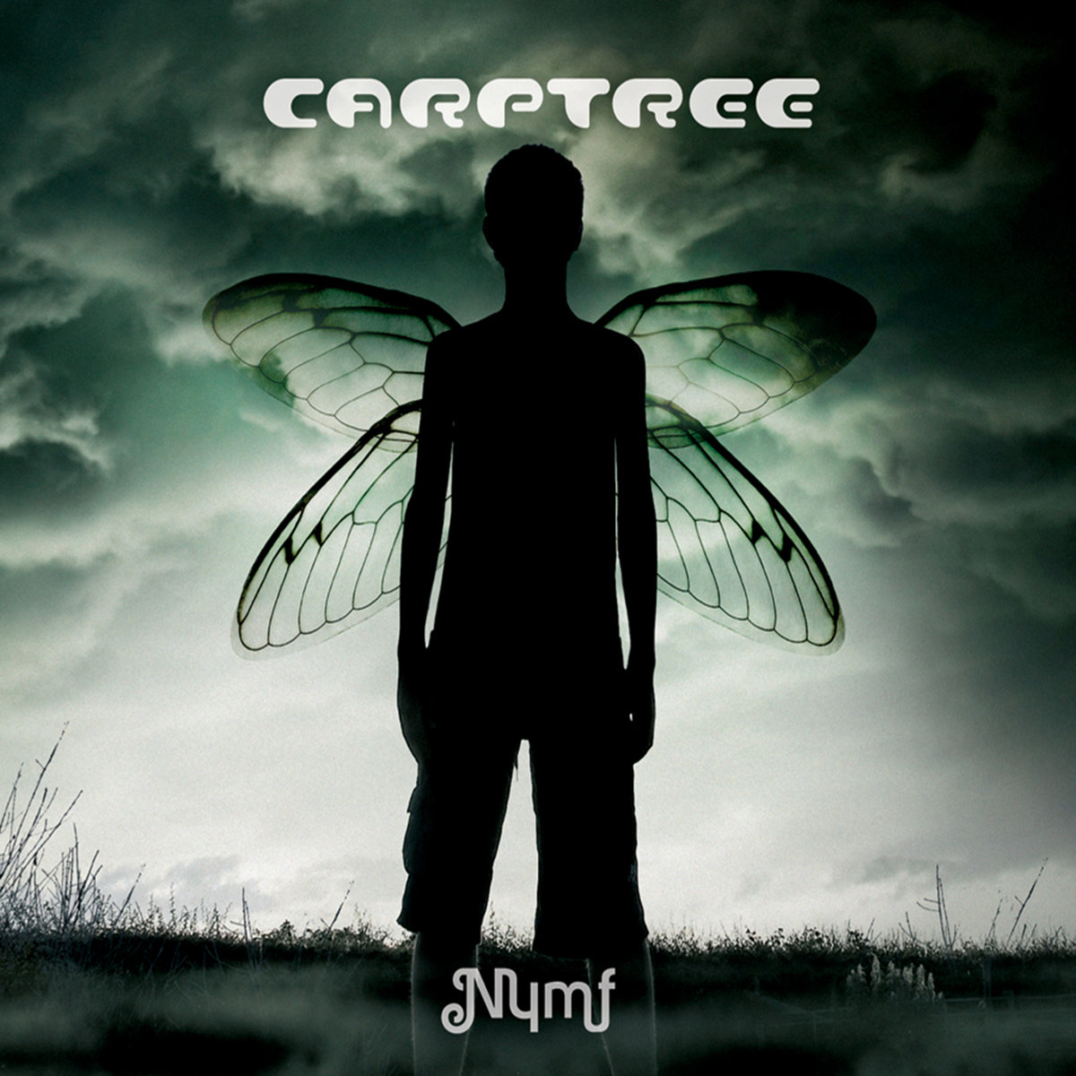 Nymf | Carptree