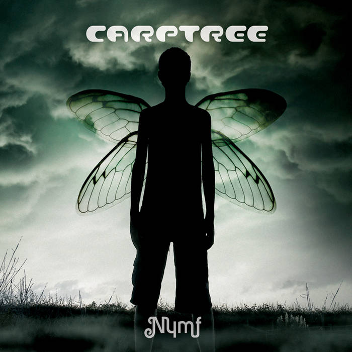 Nymf | Carptree
