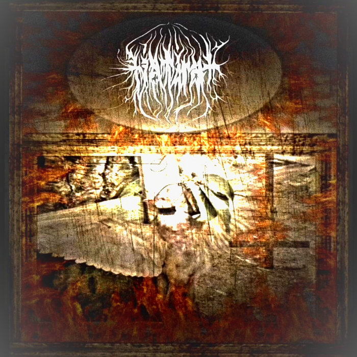 Holly Dove | Tiatirat