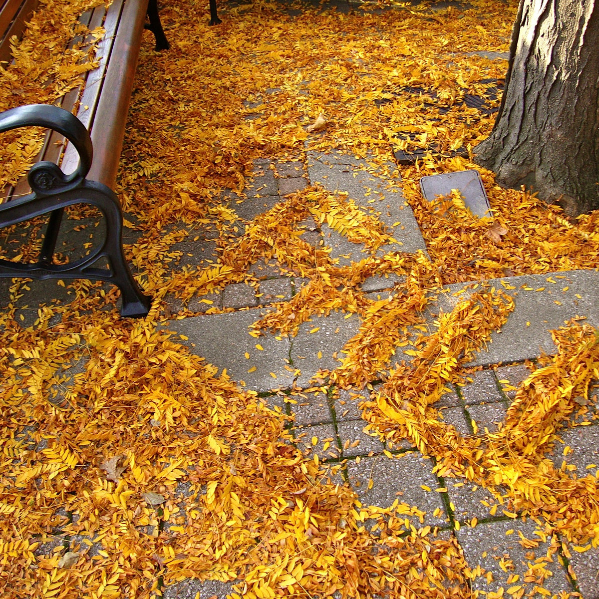 Fall Recess | Matthew Milliken