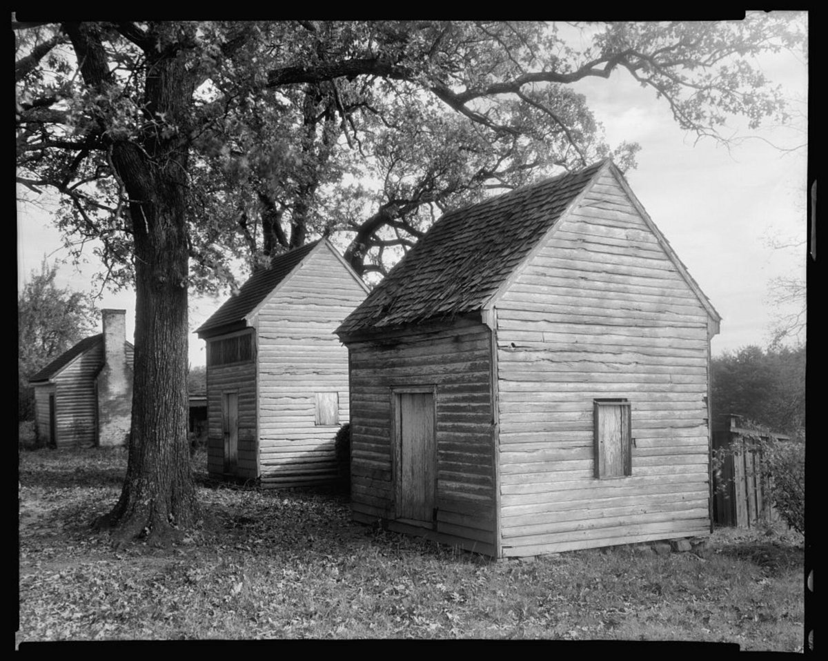 Bachelor's Hall | Tony Allen