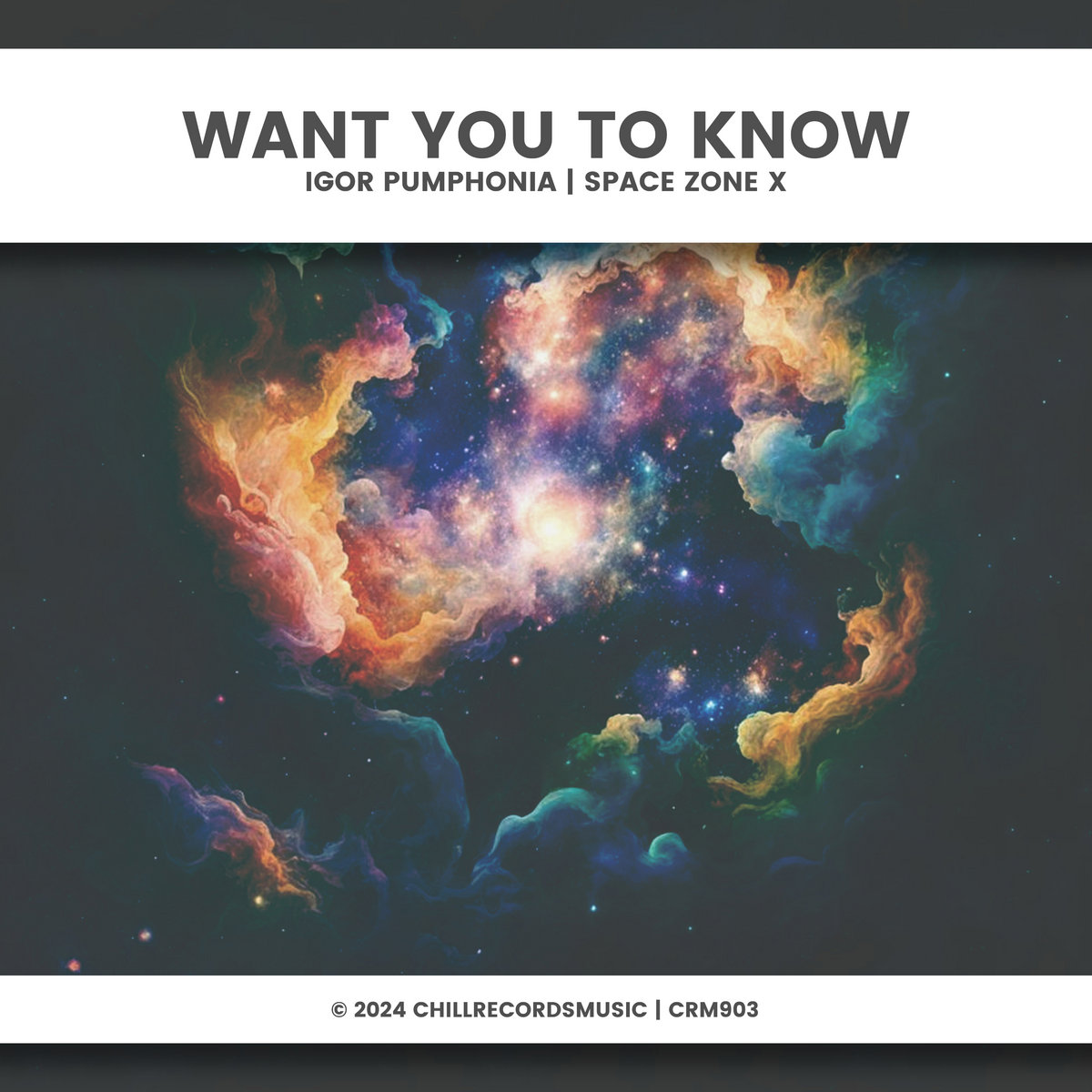 Igor Pumphonia - Want You To Know (Space Zone X Dub) | Igor Pumphonia