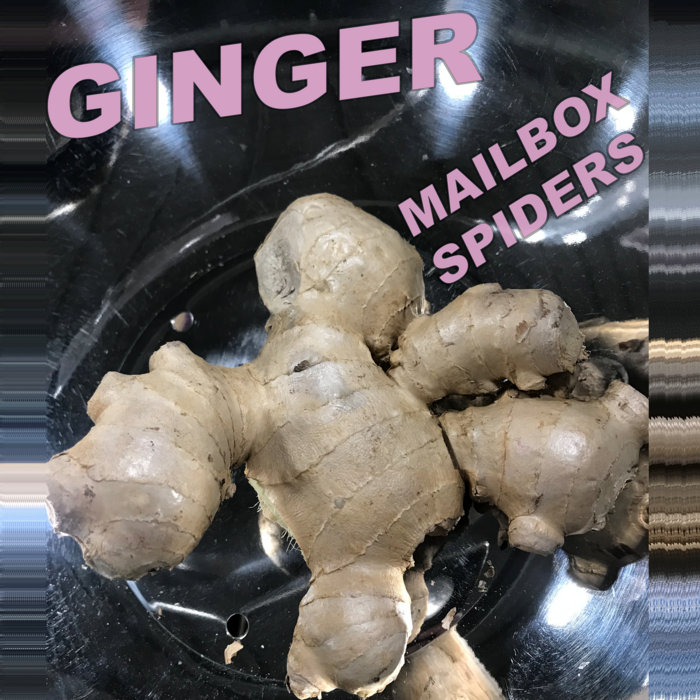 Ginger | Mailbox Spiders