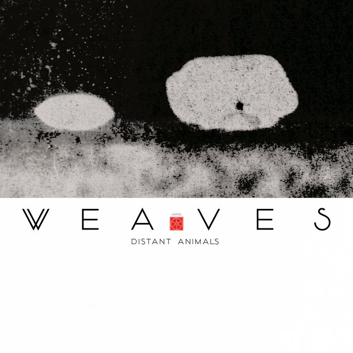DISTANT ANIMALS - Weaves / Threads | Distant Animals | Hallow Ground