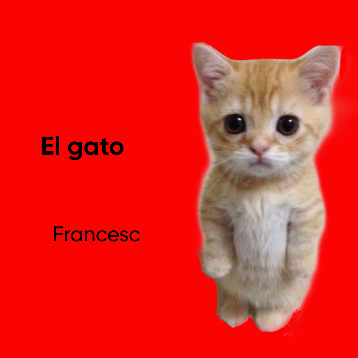 El gato+ | Francesc