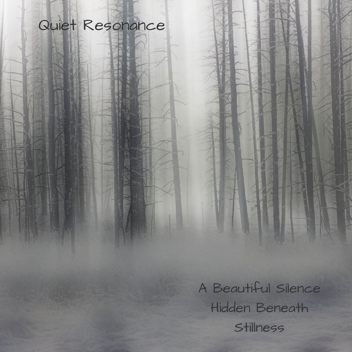 A Beautiful Silence Hidden Beneath Stillness | Quiet Resonance