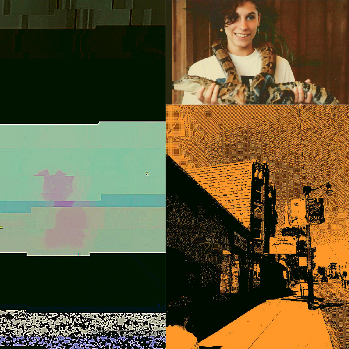 Phone Demos 2021 | Che/Sea | Camp Cryptid Records