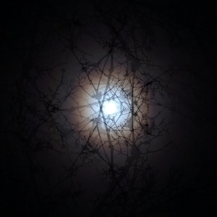 A Lullaby To Skarl | David Dellacroce & ∞ | The Museum of Viral Memory