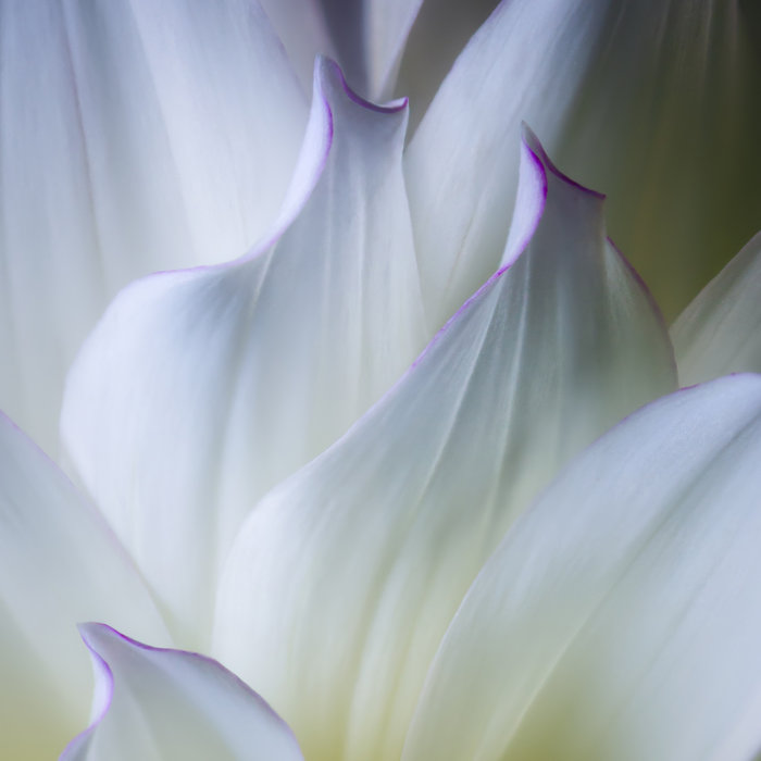 Permanent Obscurity | Suspicious Figure