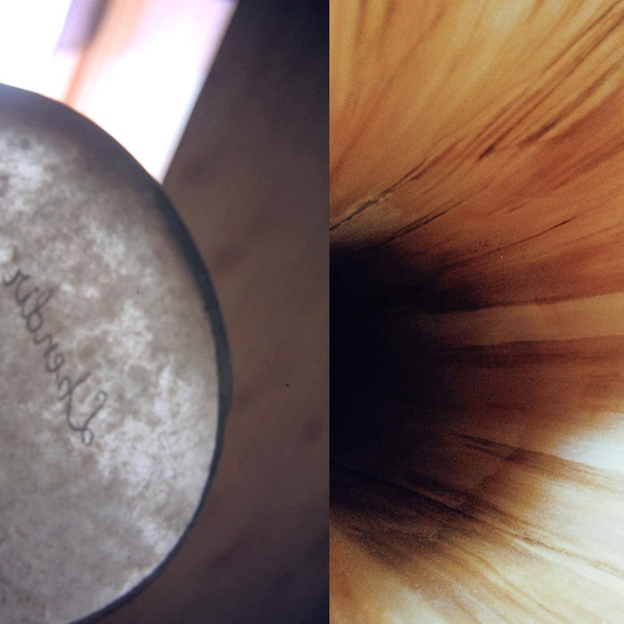 Calm & Slow - didgeridoo meditation | Calm Whale