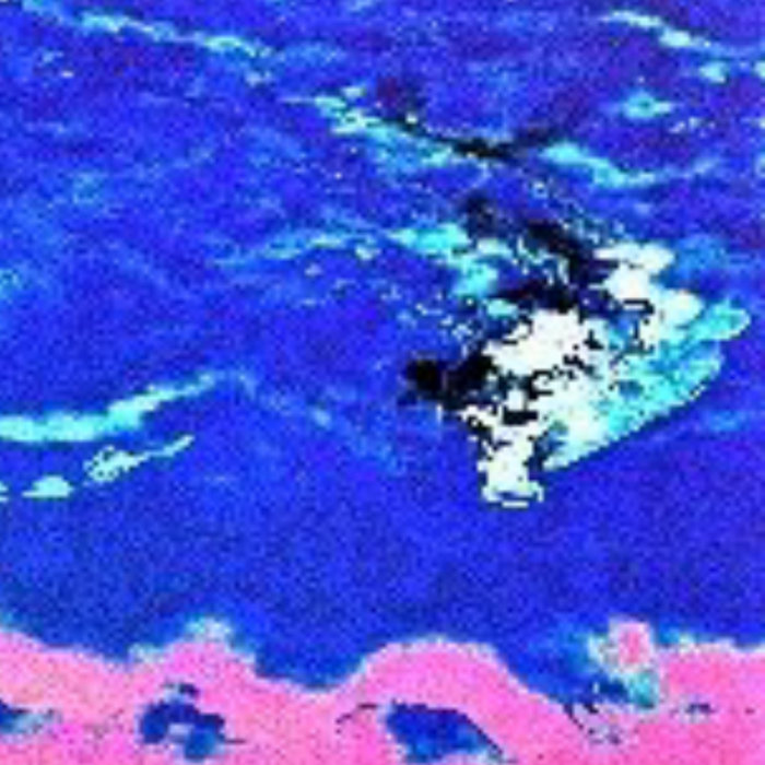 Summer Vibes | Drix | Chunked And Junked Records