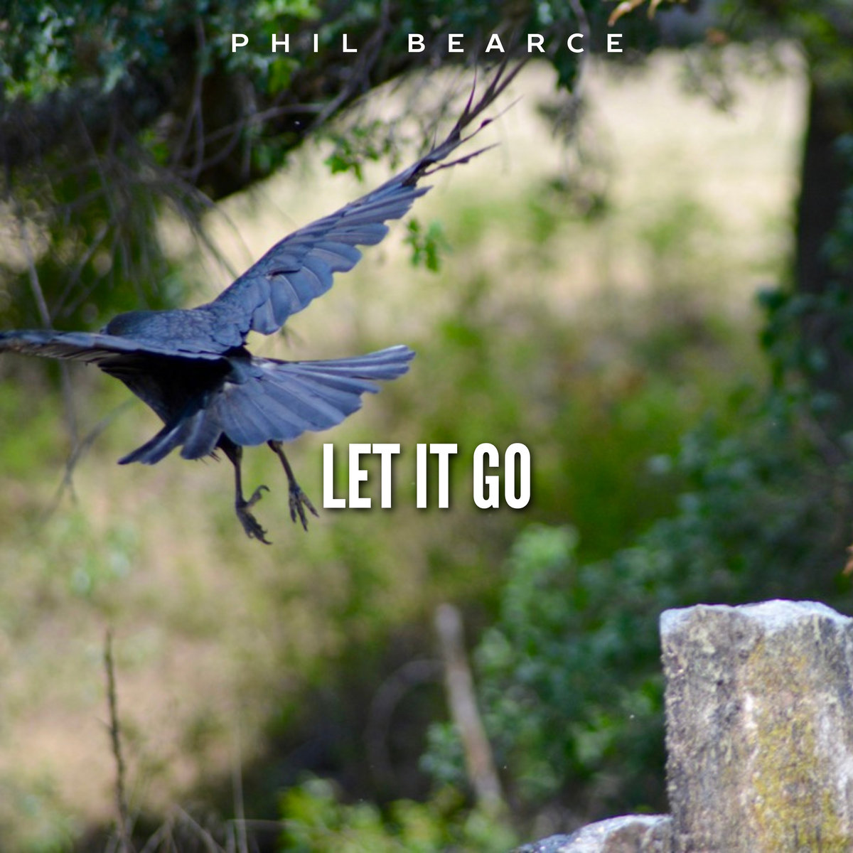 Let It Go | Phil Bearce