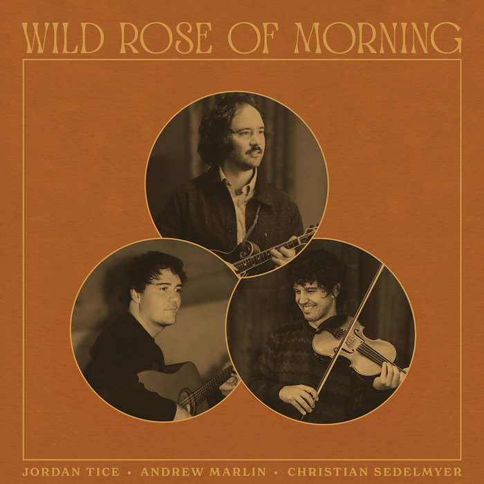 Wild Rose of Morning | Jordan Tice, Andrew Marlin, Christian Sedelmyer ...