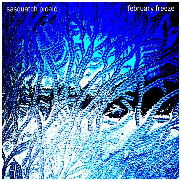 february freeze | sasquatch picnic | Hypnogogic Sound Lab