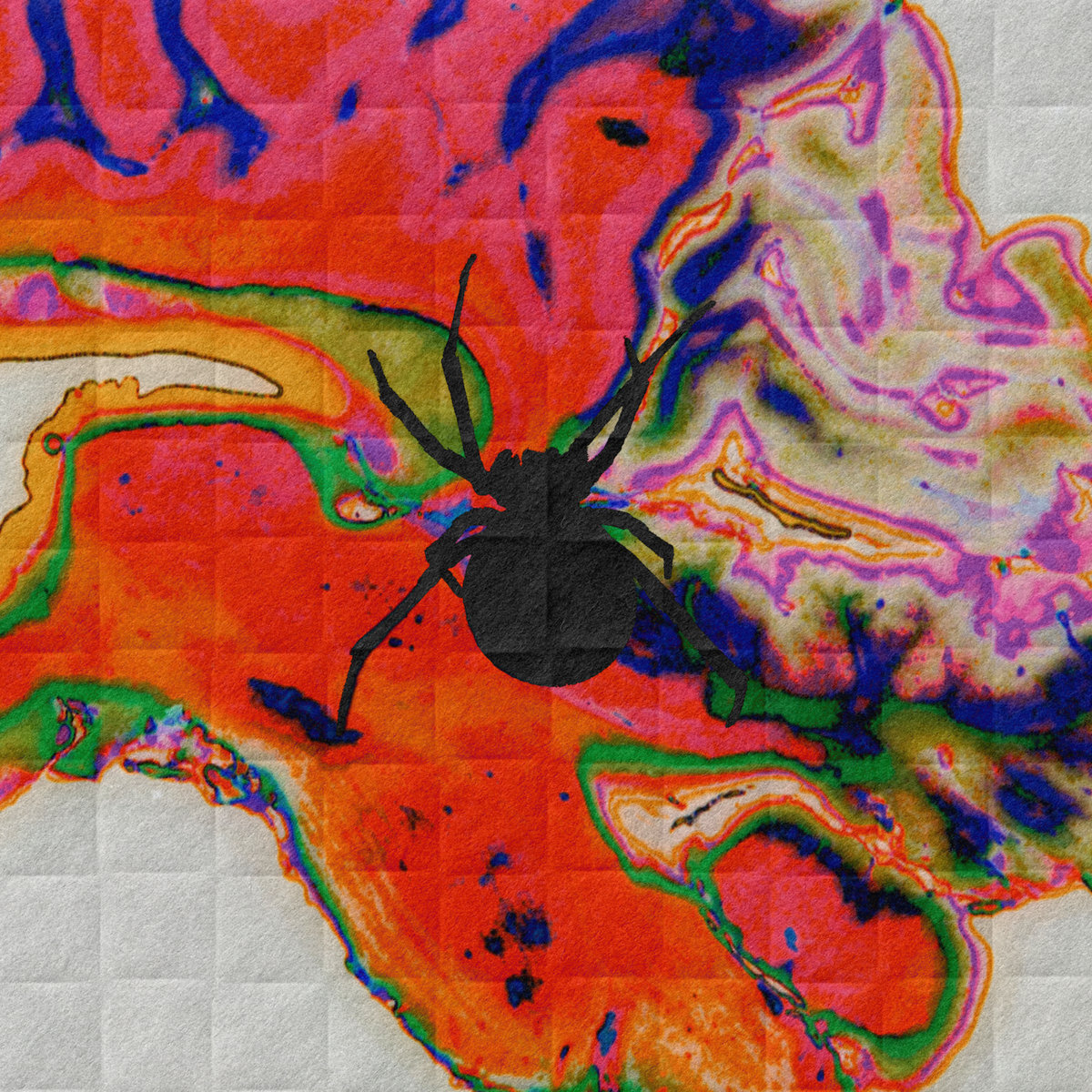 Doses | Meechy Darko