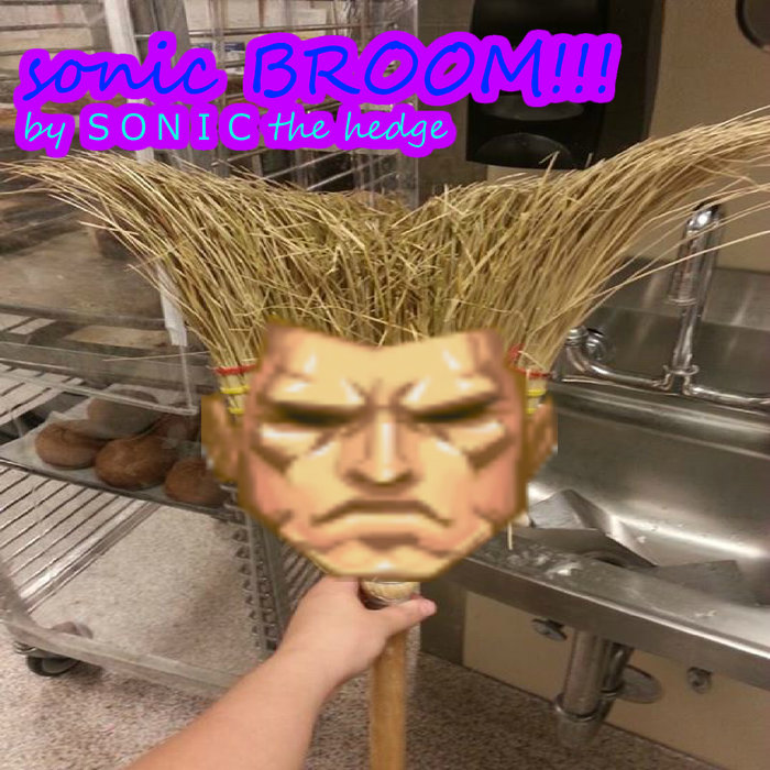 sonic BROOM!!! | SONIC the hedge | pritch records