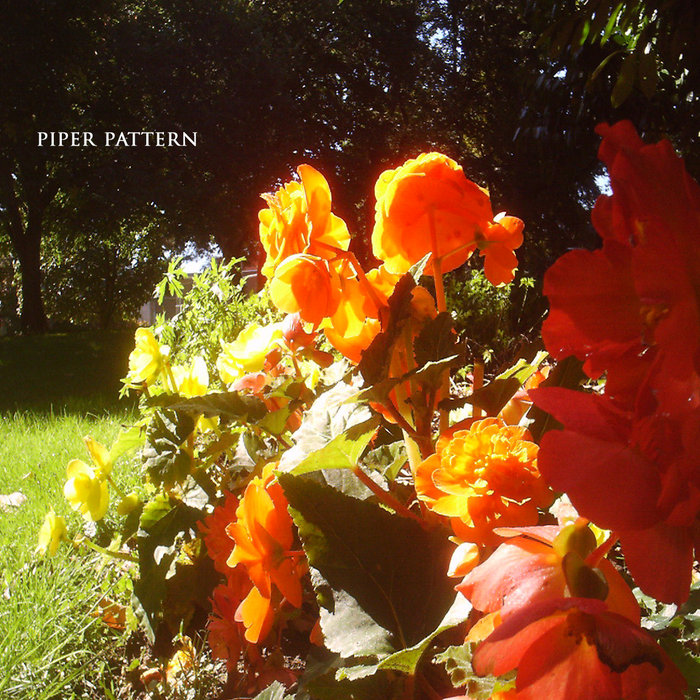 piper pattern | ben hammer