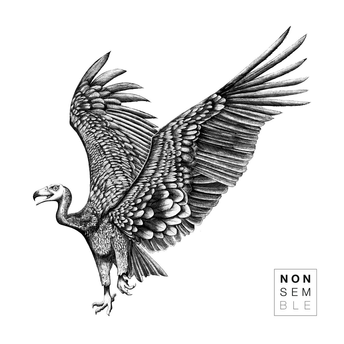 Argentavis | Nonsemble