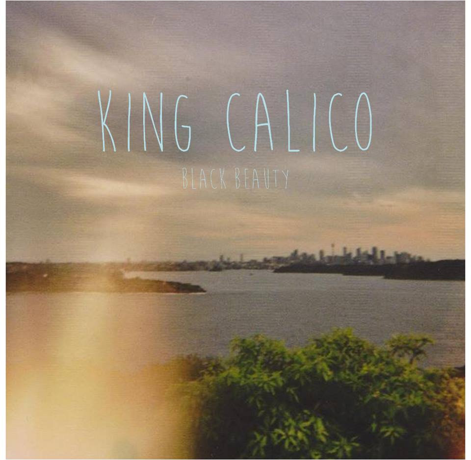 Black Beauty | King Calico | Nightcap Records