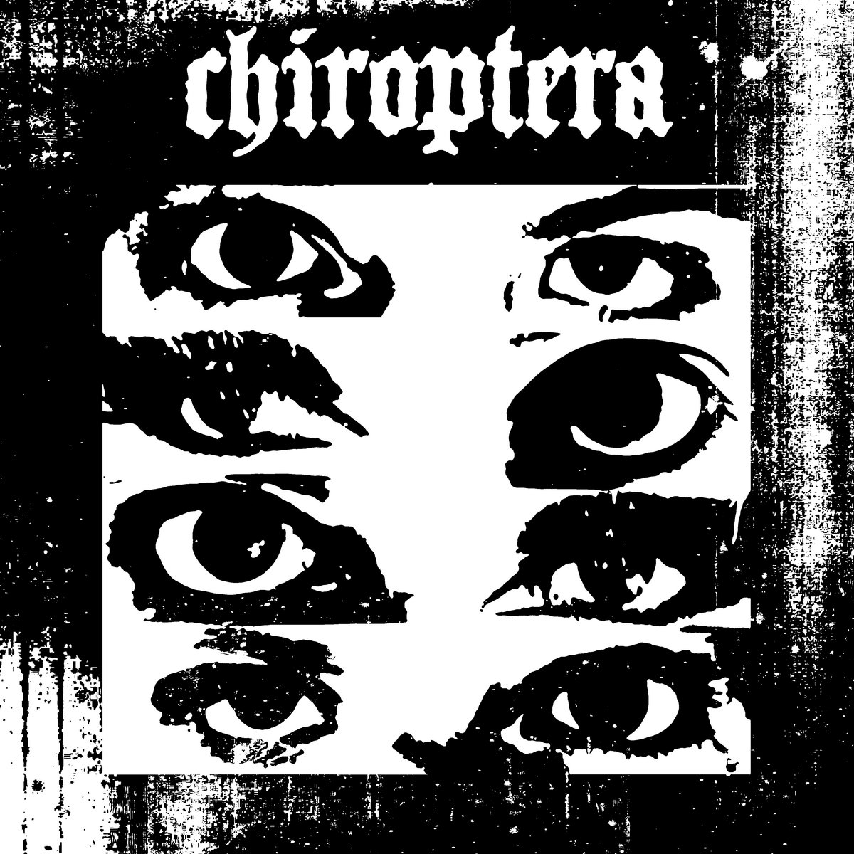 Chiroptera | Chiroptera