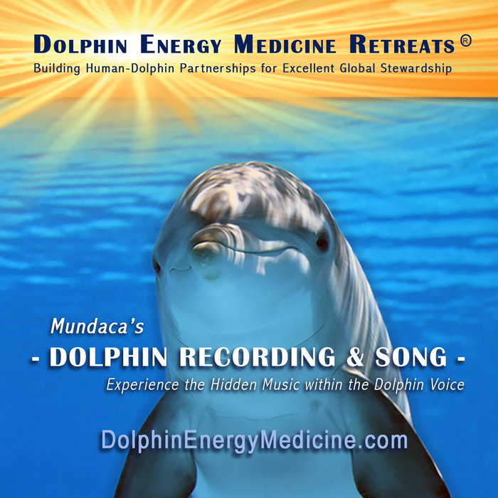 Mundaca | Mundaca the bottlenose dolphin | Donna Kassewitz