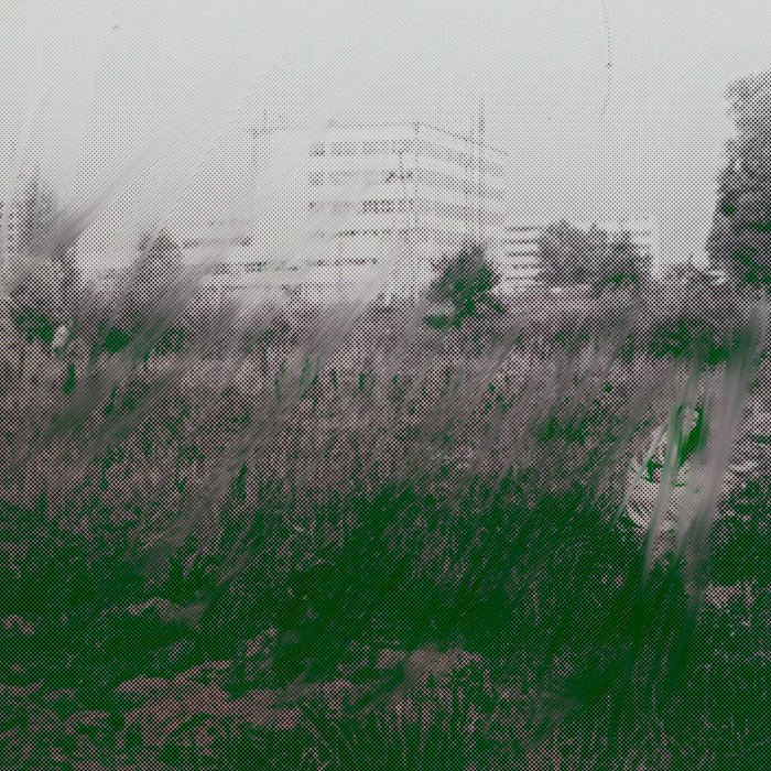 Meadows Like Malachite Seas | My Varykino