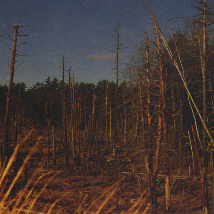 Vol. 1 | Adam Bosarge