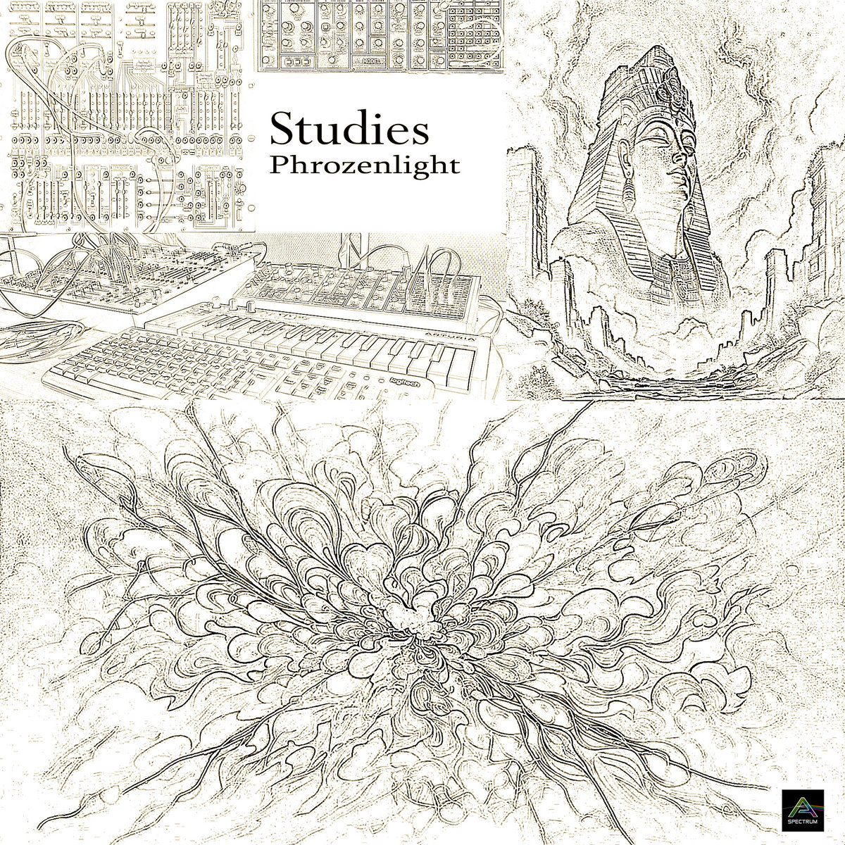 2025 - Studies | Phrozenlight