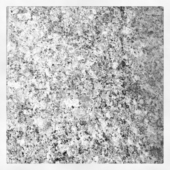 Leaves On Stone | Peer Remi