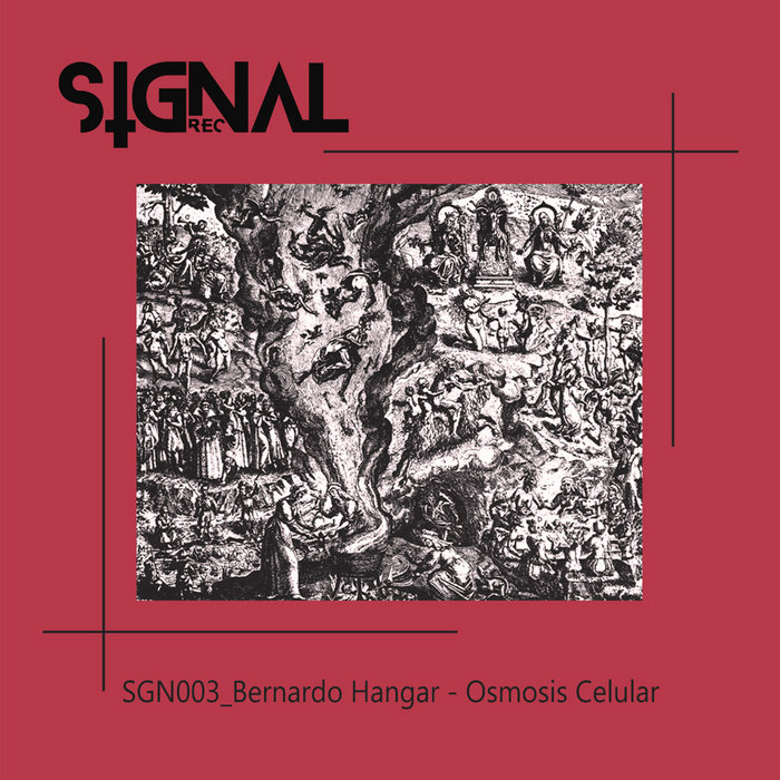 Osmosis Celular | Bernardo Hangar | SIGNAL REC