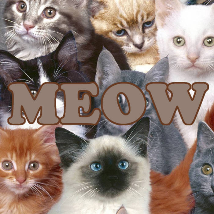 Meow | Cats Millionaire | Devi McCallion